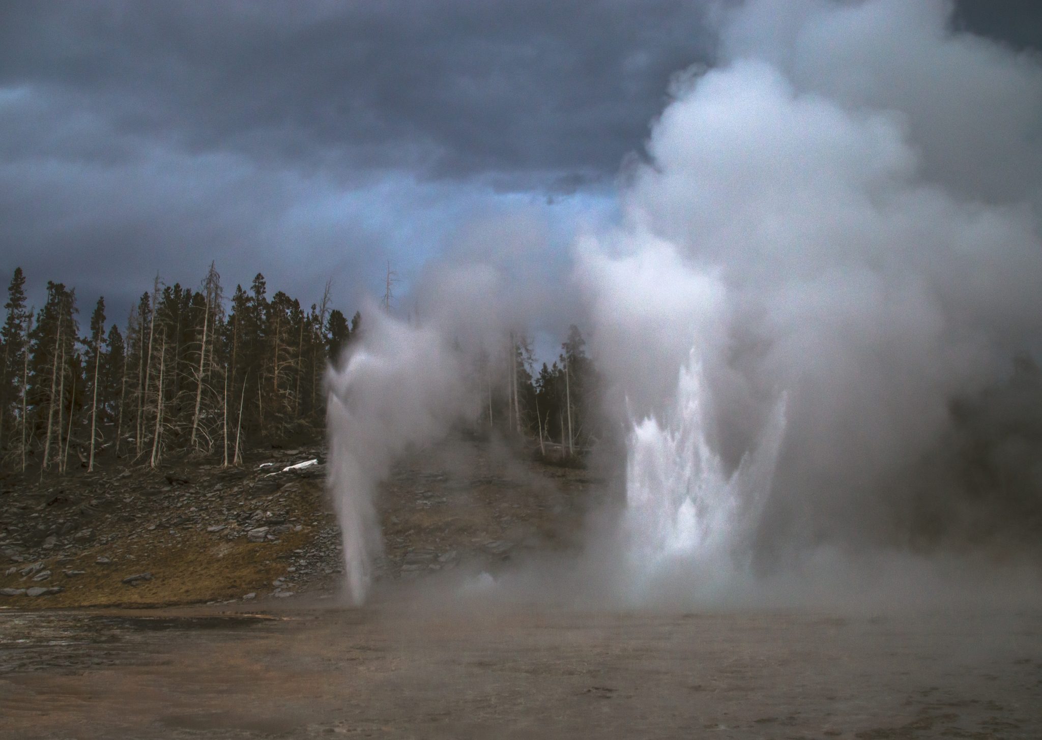 The Geyser Observation & Study Association – GOSA